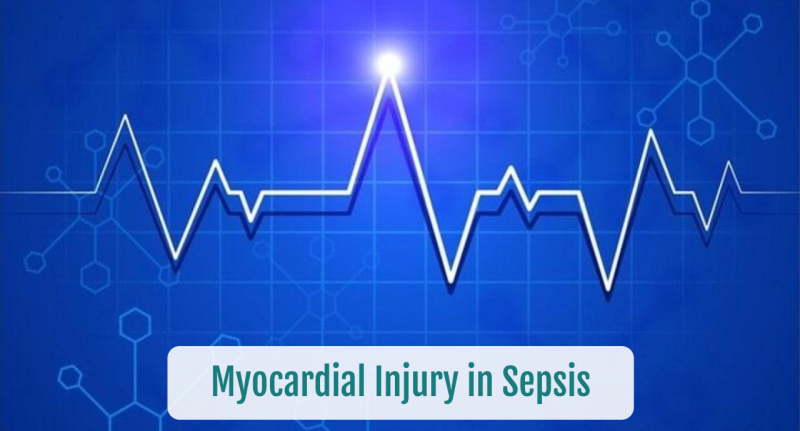 Use of Machine Learning Algorithms in Sepsis – Sepsis Program Optimization