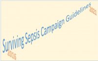 Surviving Sepsis Campaign Guidelines – Sepsis Program Optimization