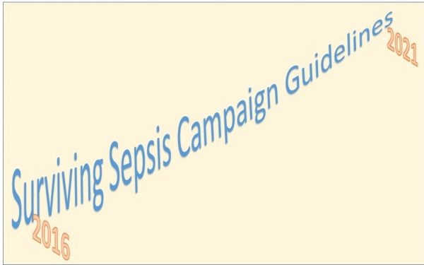 Surviving Sepsis Campaign Guidelines – Sepsis Program Optimization