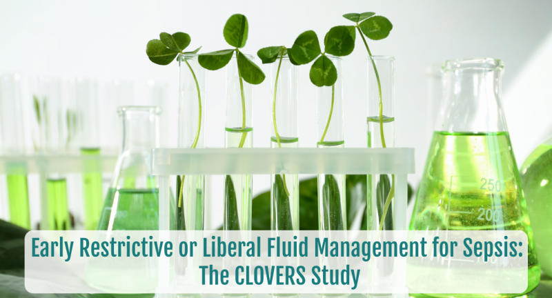 Surviving Sepsis Campaign Guidelines – Sepsis Program Optimization