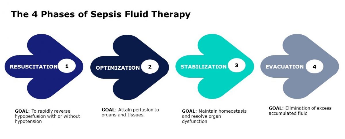 The 4 Phases of Fluid Therapy in Sepsis – Sepsis Program Optimization