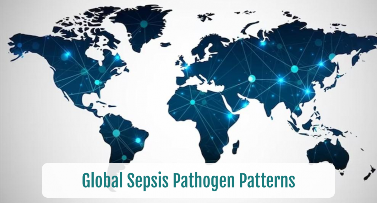 Evolution and Current Status of Sepsis Bundles – Sepsis Program ...